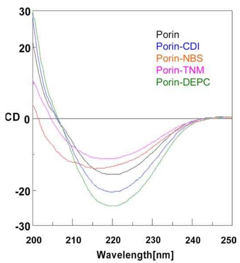 Cd spectra of unmodified and modified s. typhi ty2la ompc