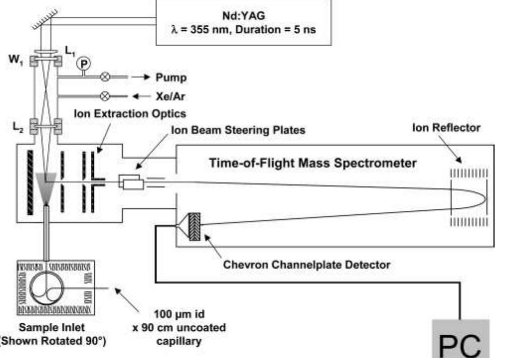 Schematic diagram of the spi tof-ms instrument.
