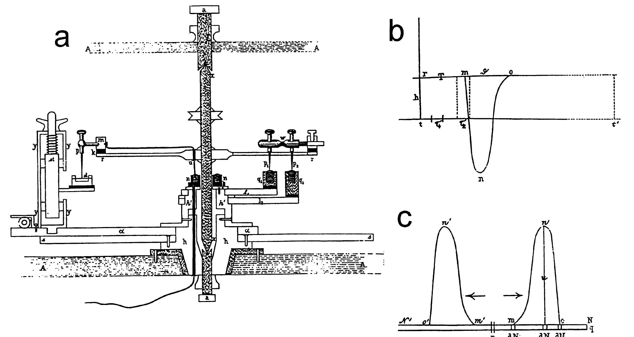 (PDF) Animal electricity and the birth of electrophysiology: the legacy ...