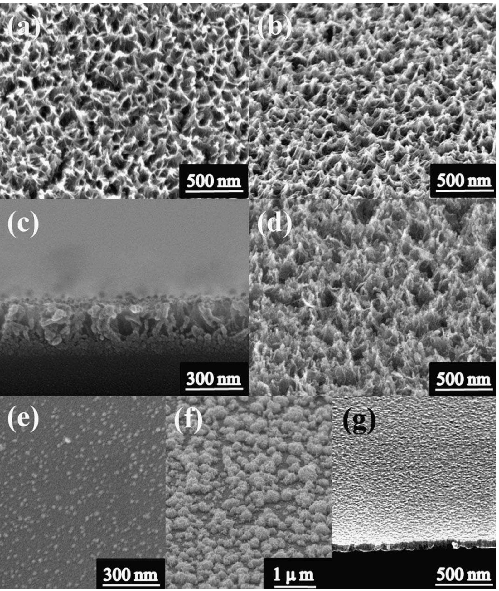 Sem images for (a) the as-prepared porous tio; thin film,
