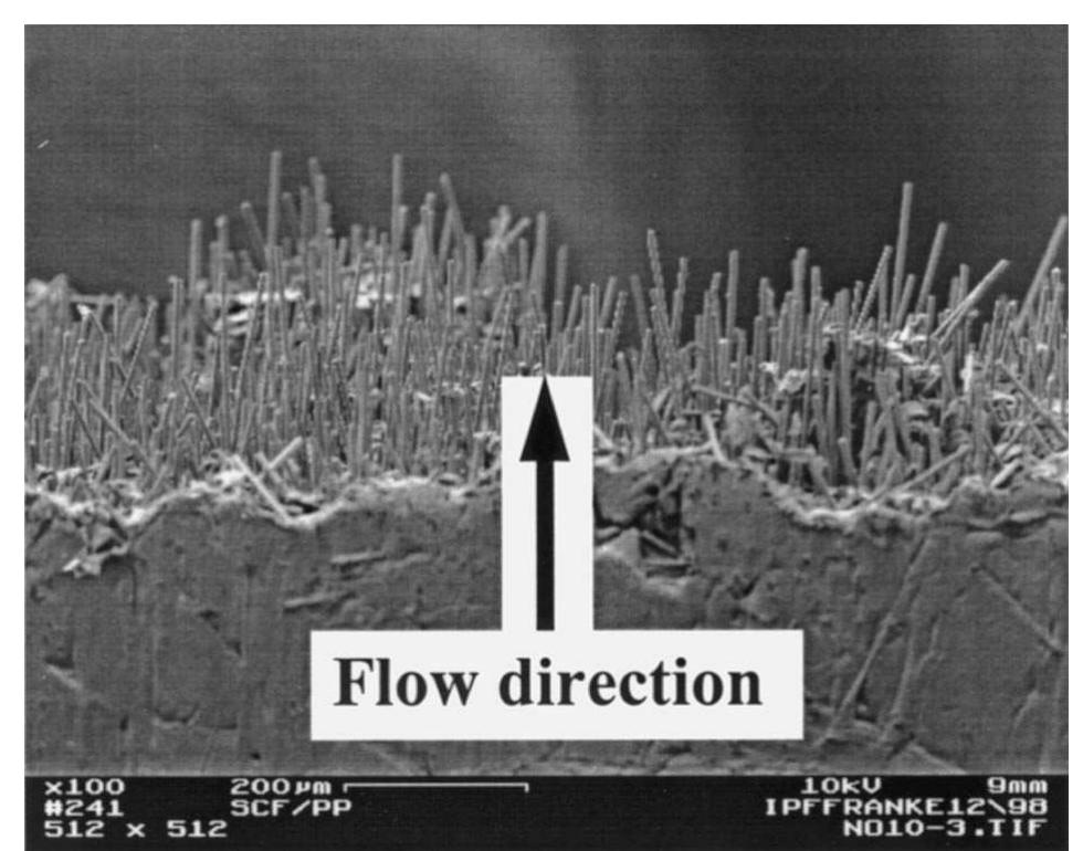 Sem Micrograph Of Tensile Fracture Surface Of An Scfpp