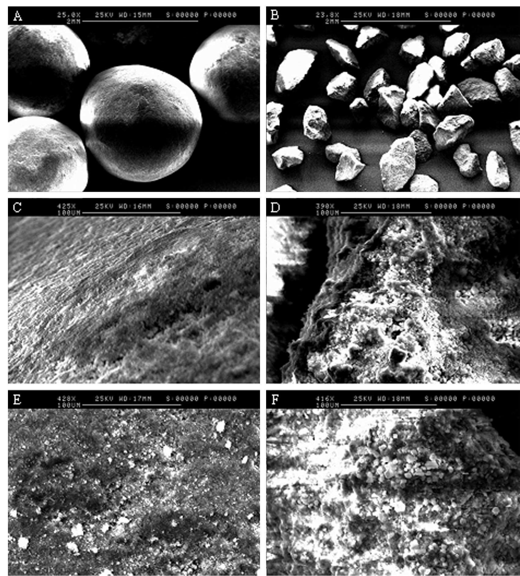 Sem images of the molecular sieves morphology prior to and