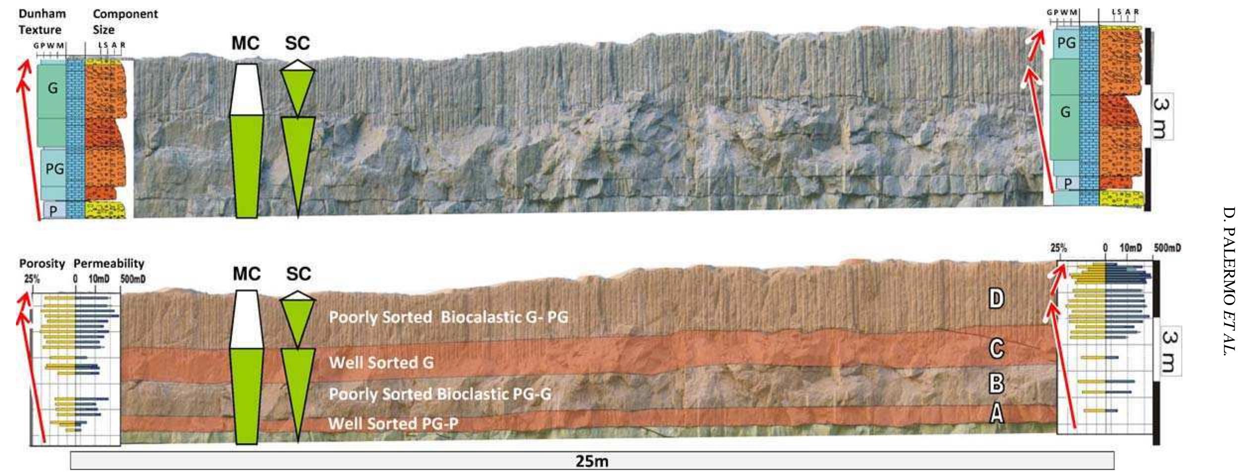 Outcrop wall panel with stratigraphic cycles, sedimentology