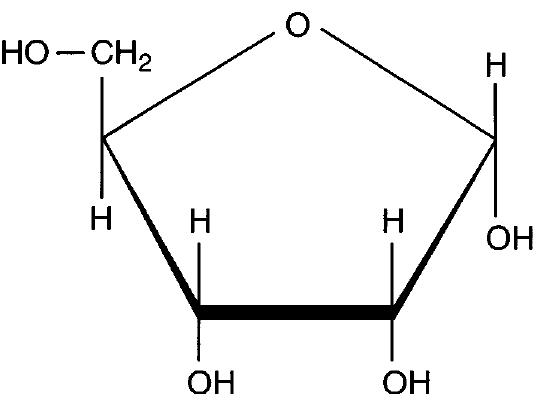 P-ribose (furanose form) the secretion of pd-ribose by a