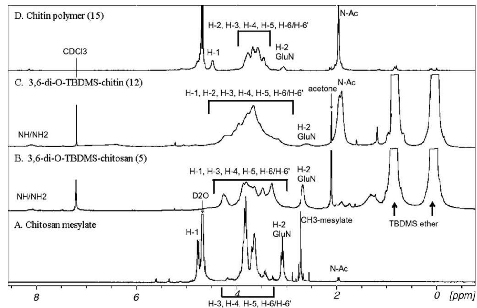 'h nmr spectra of the polymer synthetic series: (a) chitosan