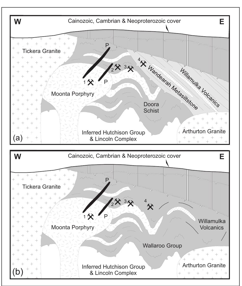 Schematic illustration of proposed relationships between the