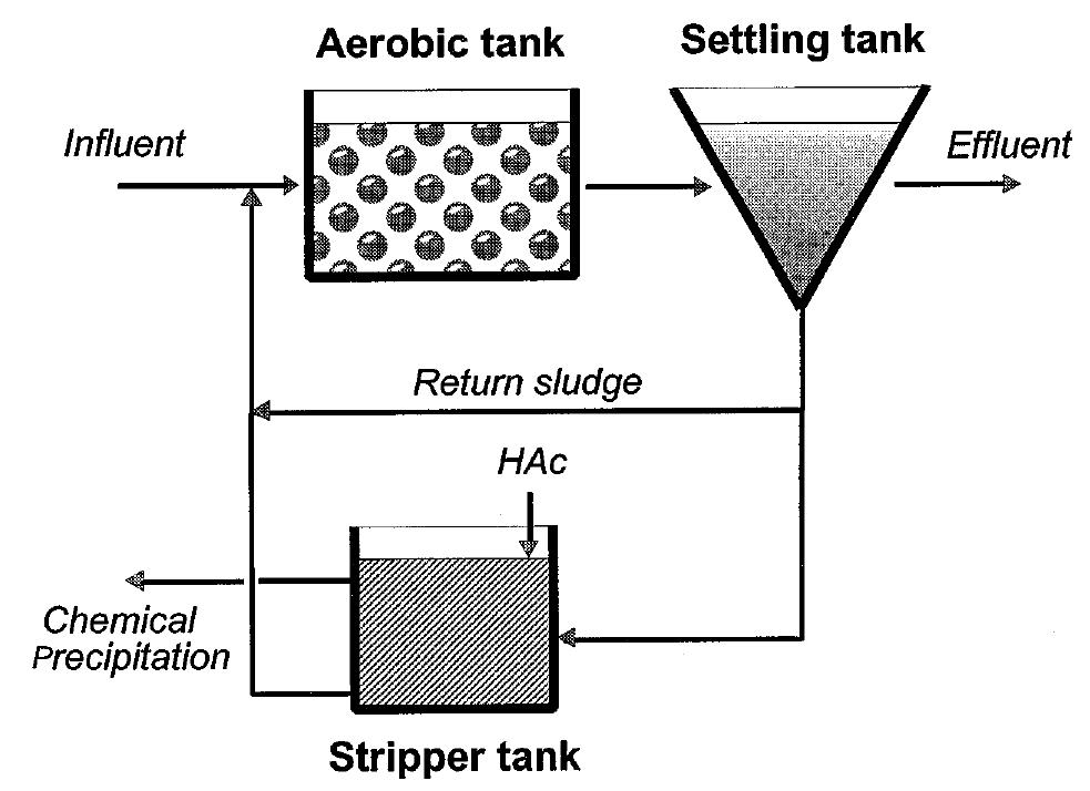 Schematic representation of the pho strip process