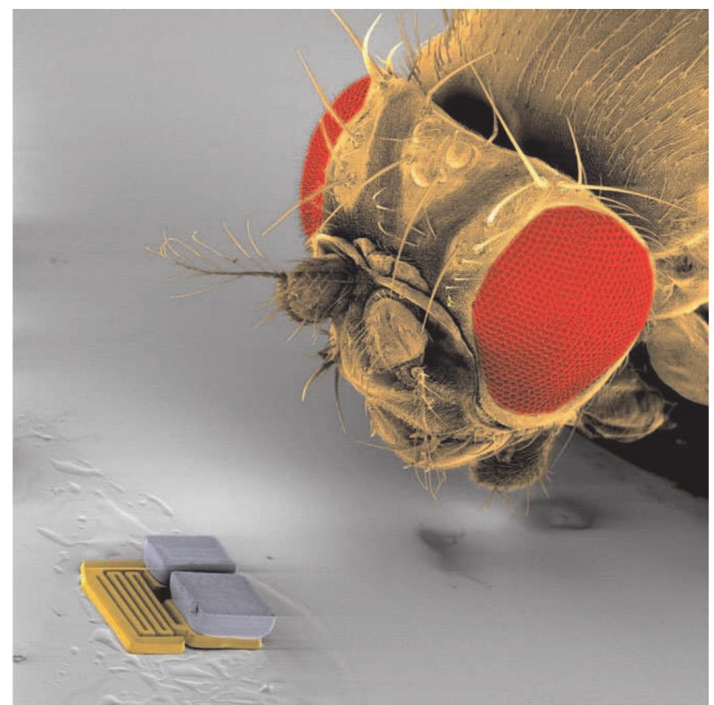 A magmite prototype of 300 wm x 300 wm x 70 “wm powered by
