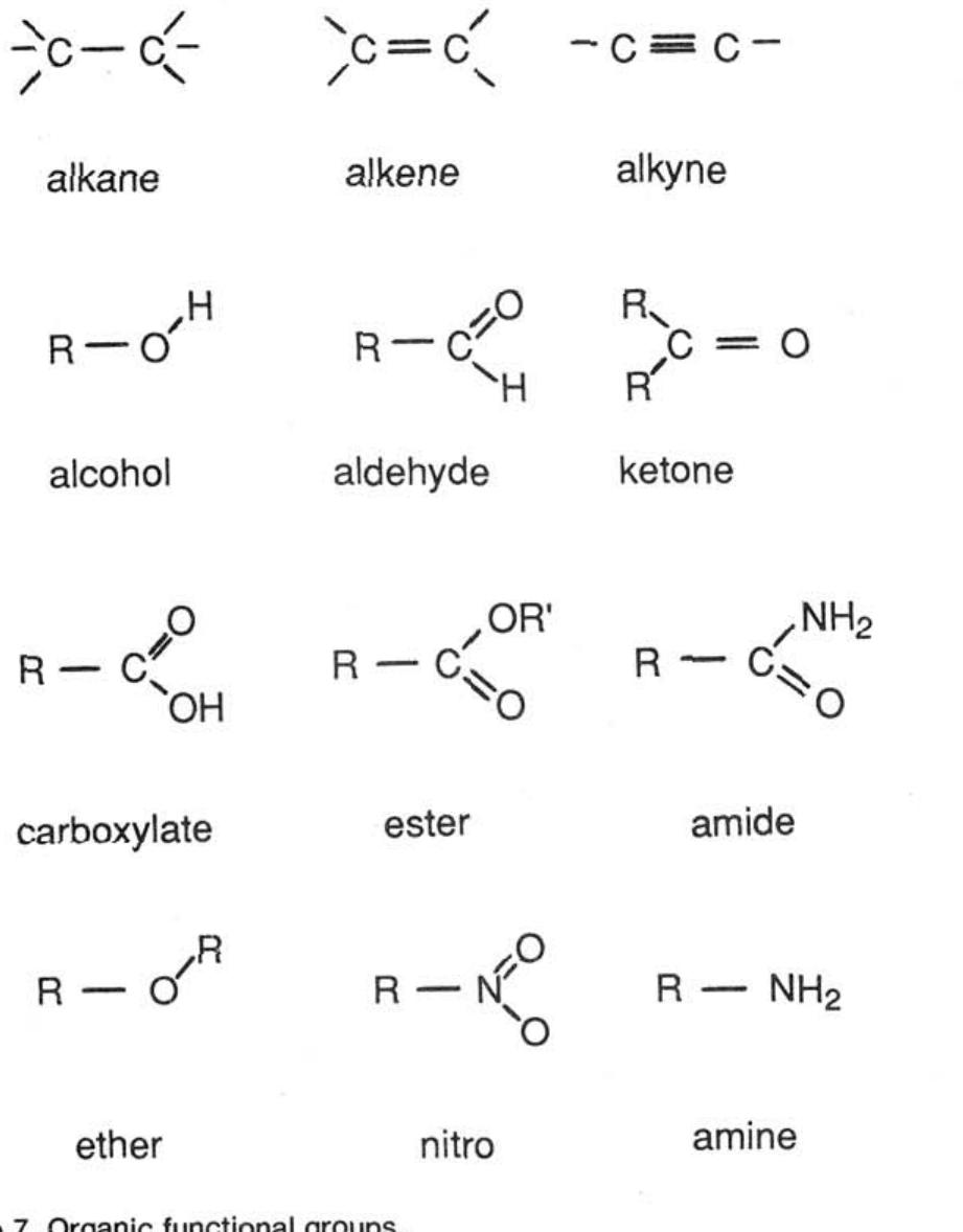 Structural aspects of the first science organic lecture