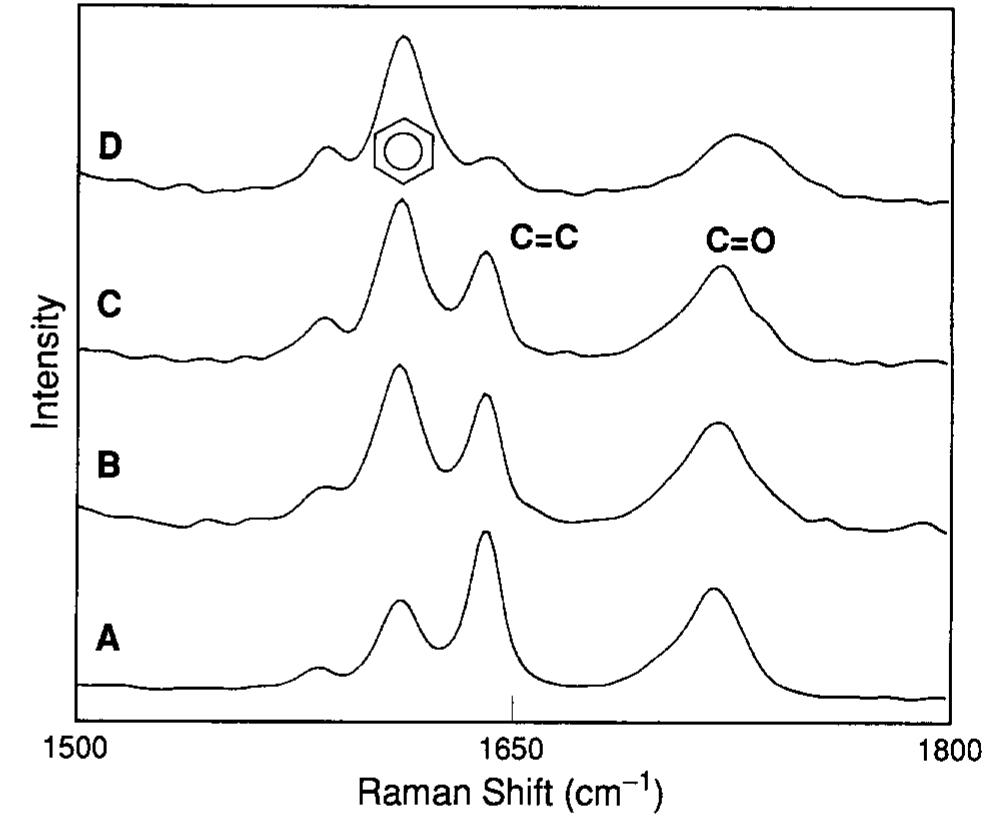 Raman spectra of monomers used in dental resin formulations