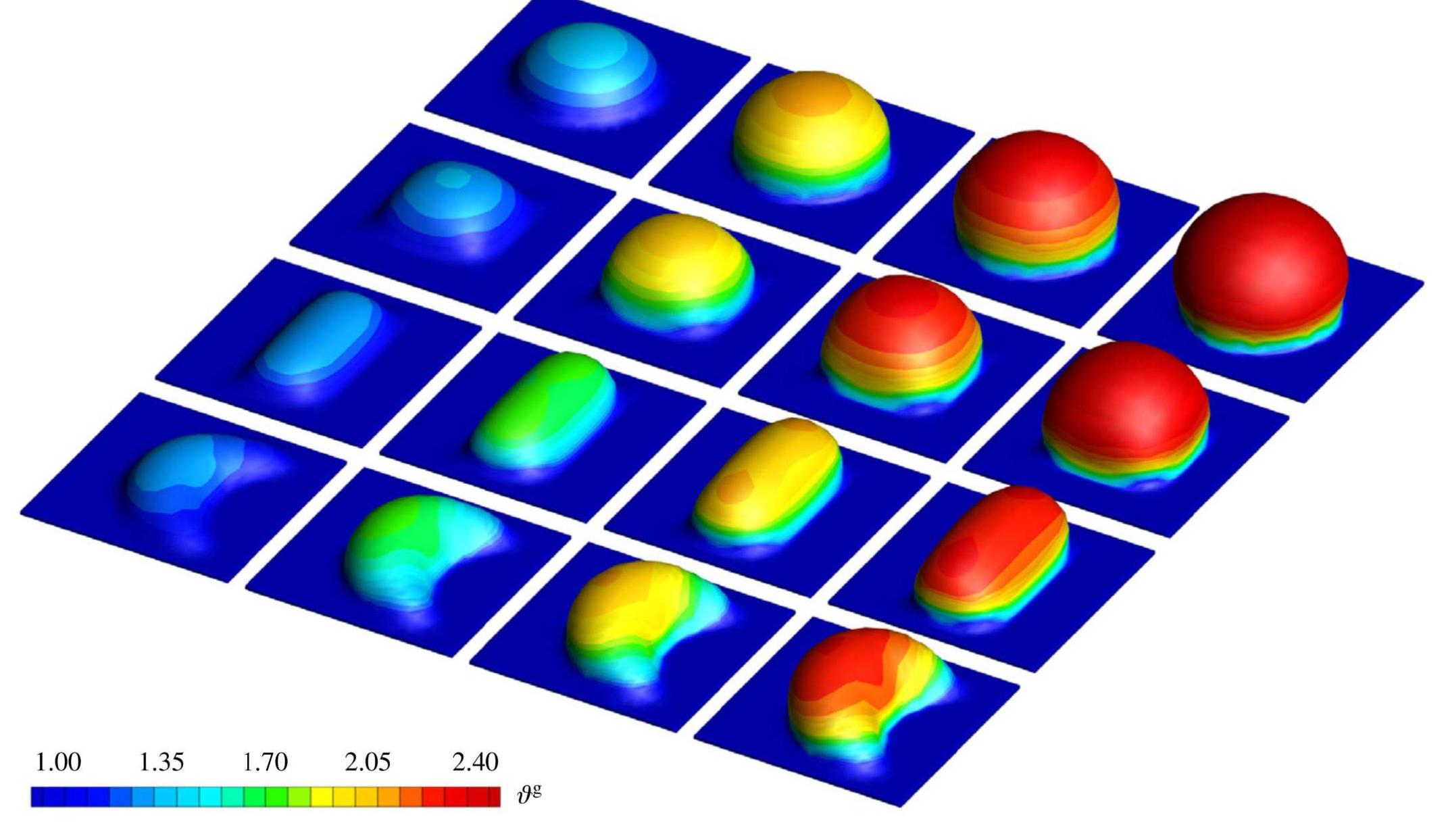 Figure 6 - Growing skin: A computational model for skin