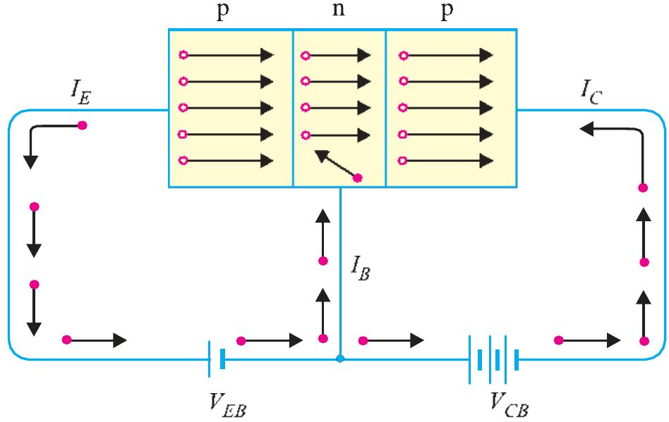 Basic connection of pnp transistor (ii) working of pnp