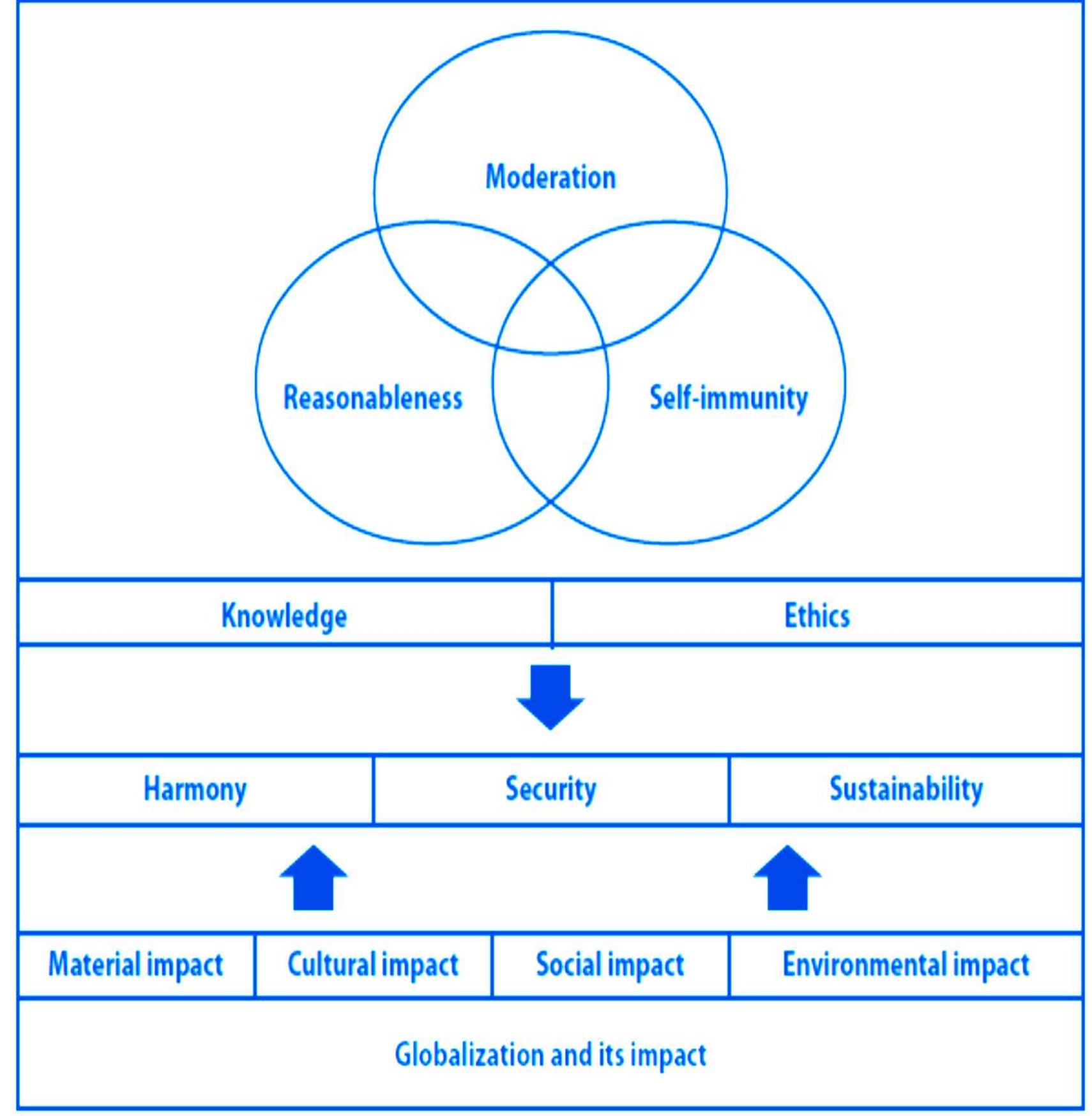 Venn diagram showing the overlaps between the pillars of the