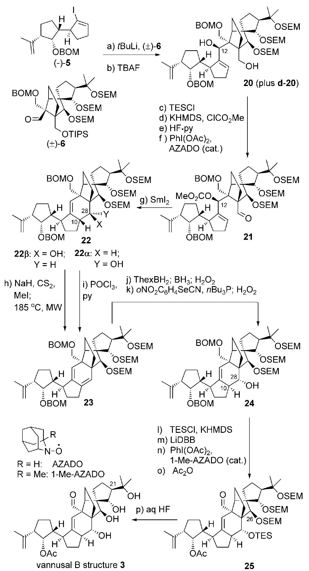 Synthesis of vannusal b structure 3 [c,,-epi-2]. reagents
