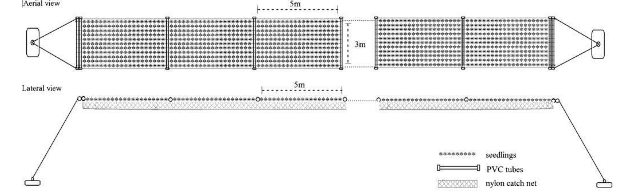 Schematic diagrams of a floating raft used in k. alvarezii