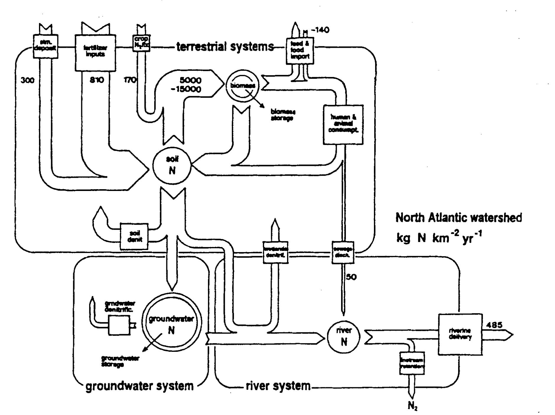 Schematic representation of nitrogen circulation within and
