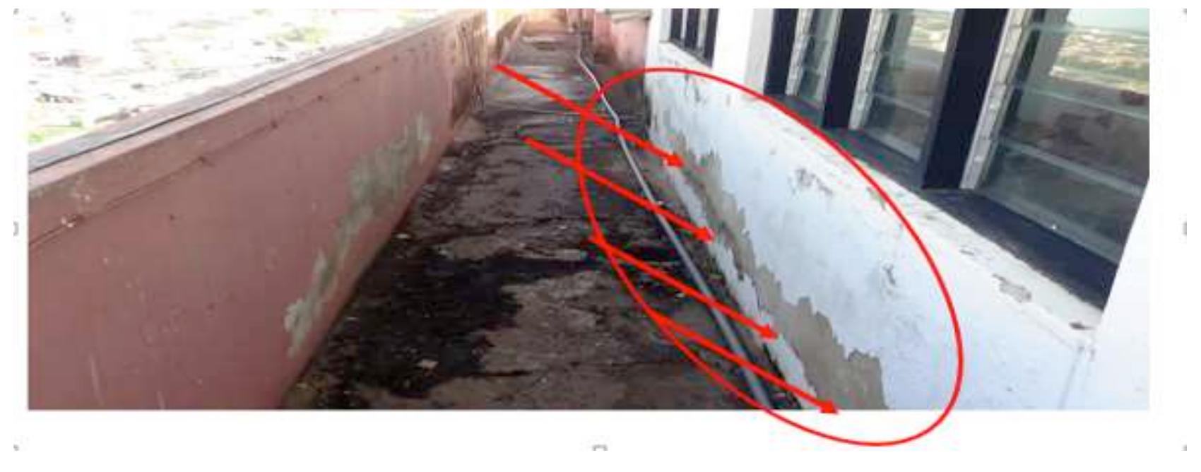 B: peeling of paint resulting from the action of moisture in