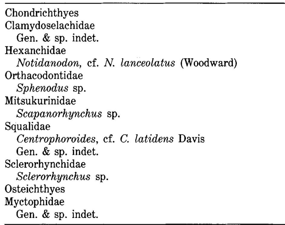 Late cretaceous fish fossils from nemuro, hokkaido (uyeno