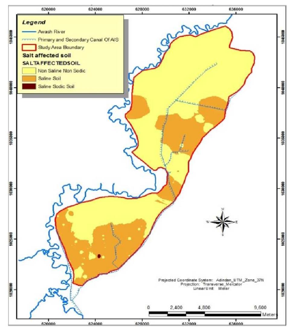 Salt affected soils map of ais from the map it can be shown