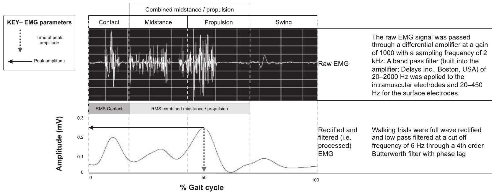 Raw and processed emg for tibialis posterior from a single
