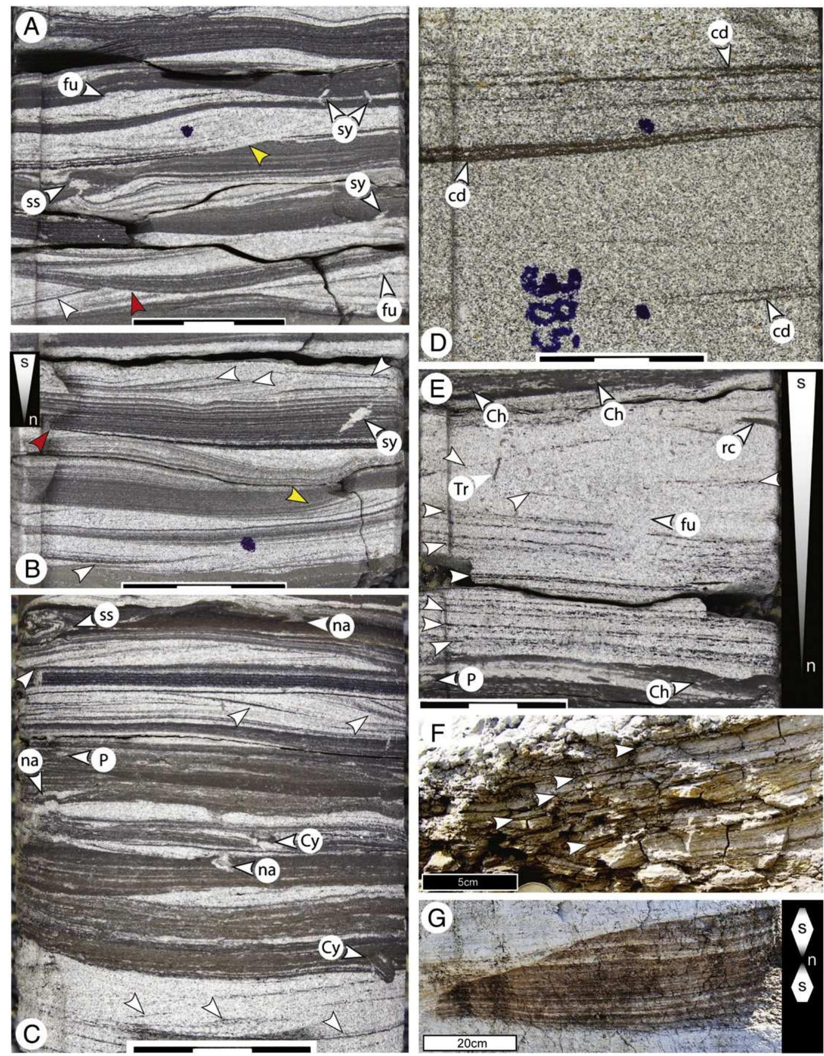 Lithofacies examples of unit a from core and outcrop showing