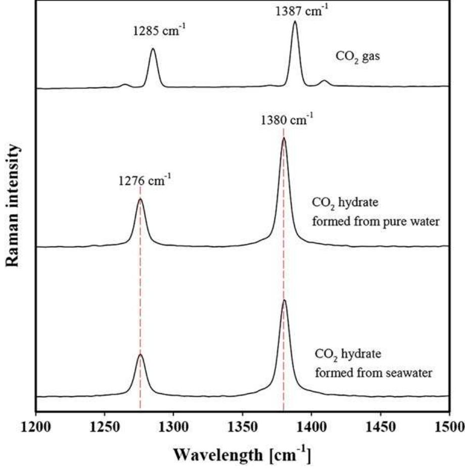 Comparison of raman spectra of co2 gas and co2 hydrates.