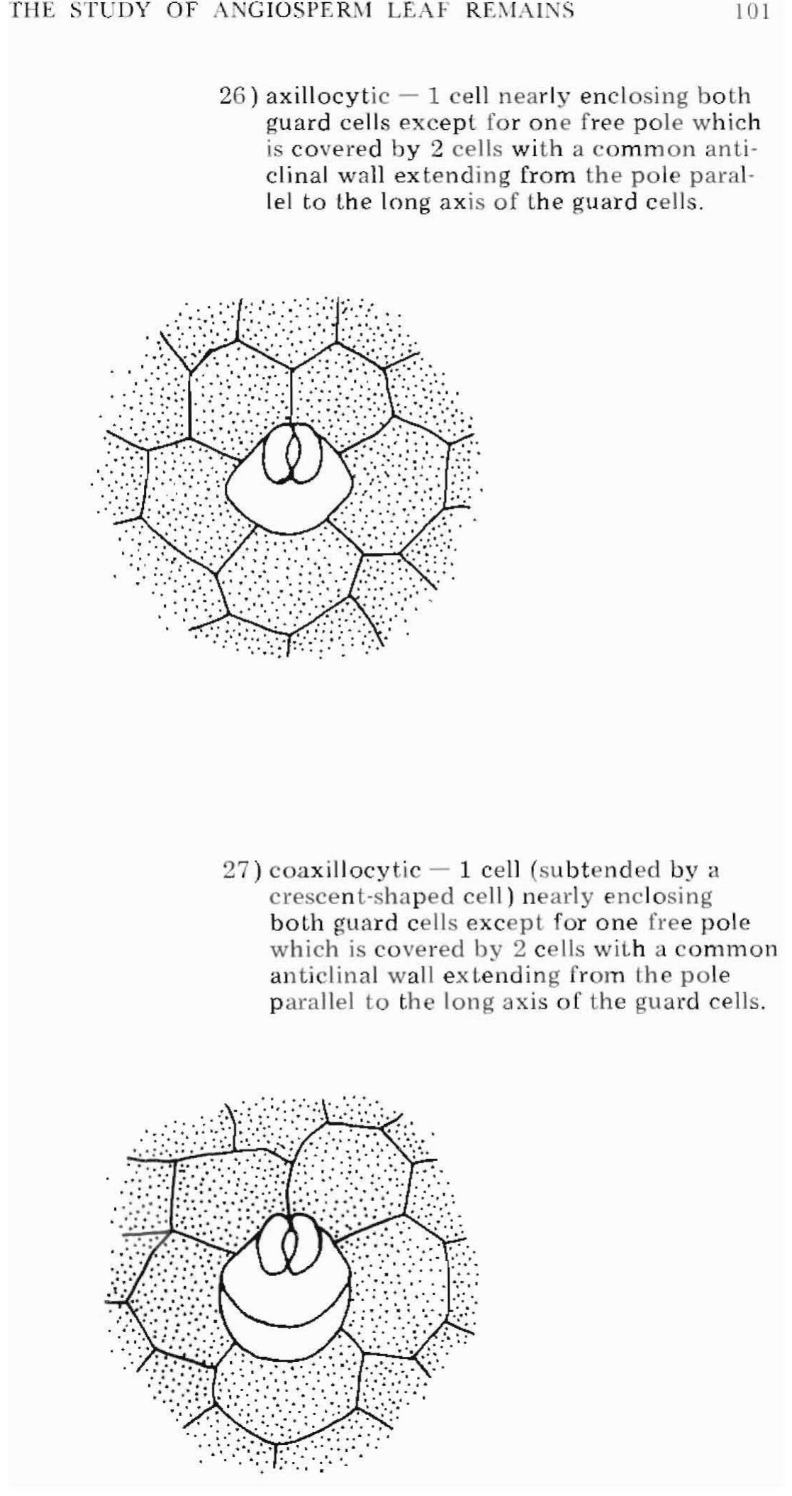 Figure 52 - Approaches to the identification of angiosperm