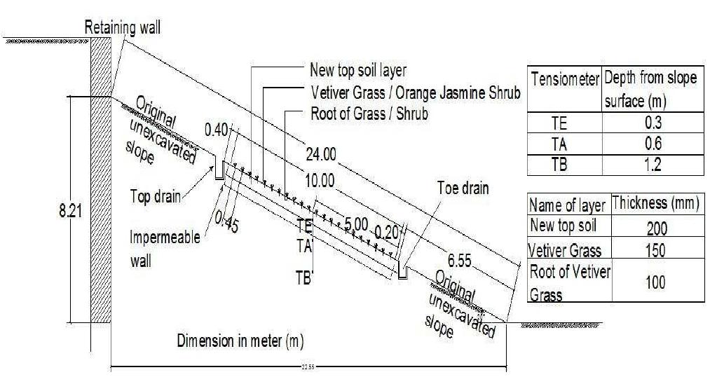 Typical cross section of slope covered with vetiver grass