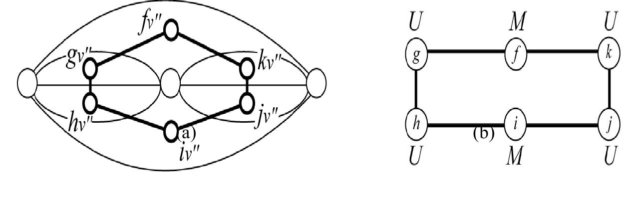 (a) topology network, and (b) dual topology network