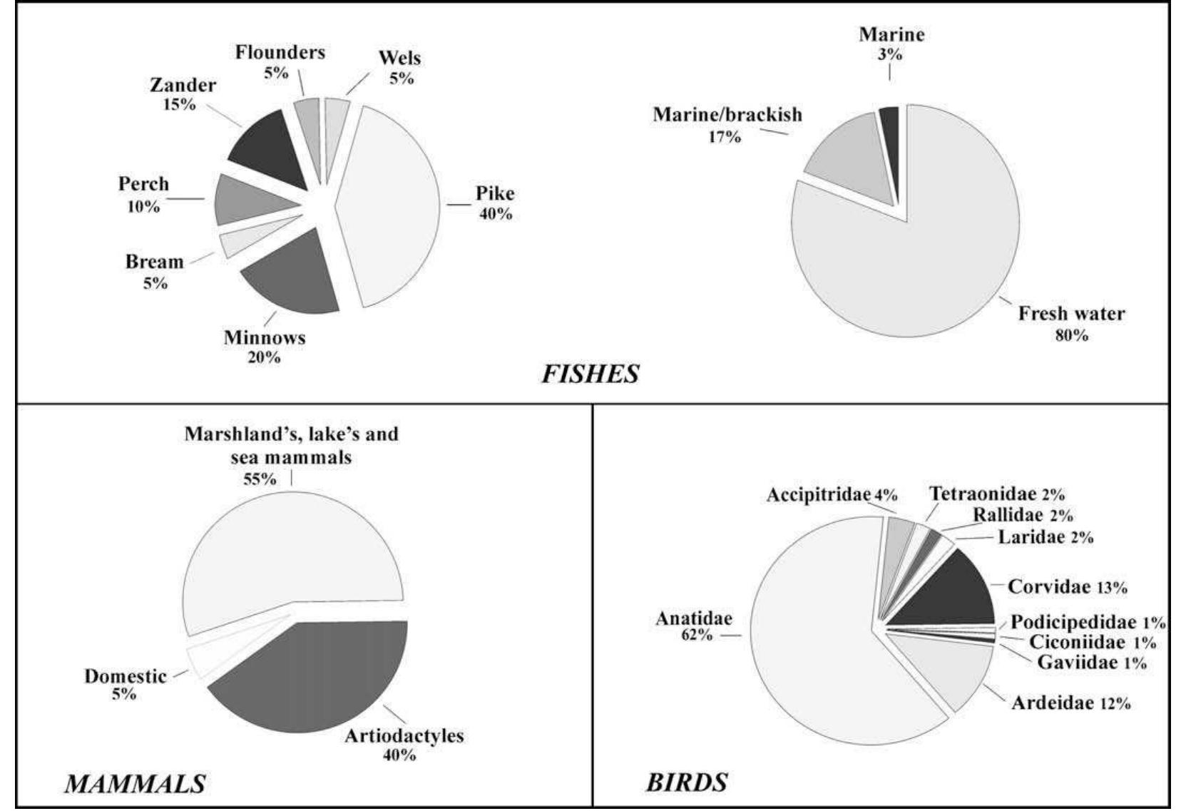 Summary chart of fish, bird and mammal bones from sventoji