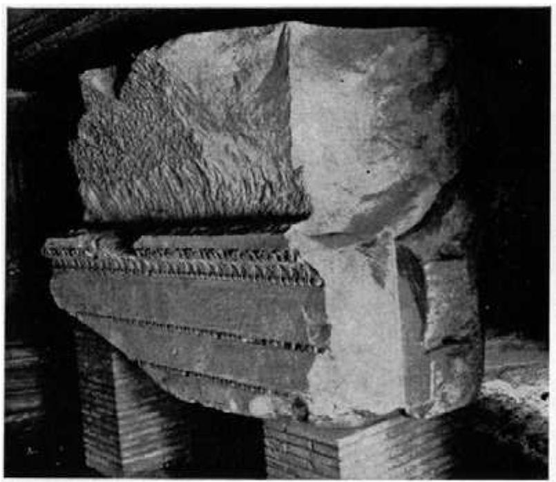 Basilica ulpia. rear side of the lintel with the “vittoria