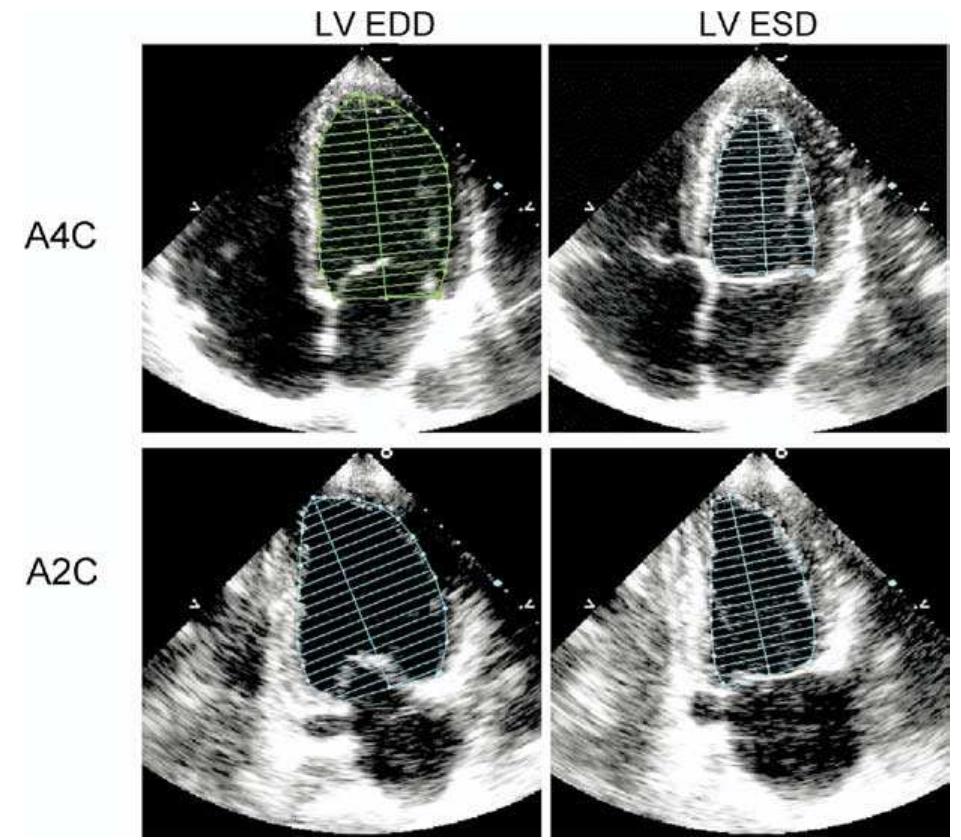 (PDF) Recommendations for Chamber Quantification: A Report from the ...