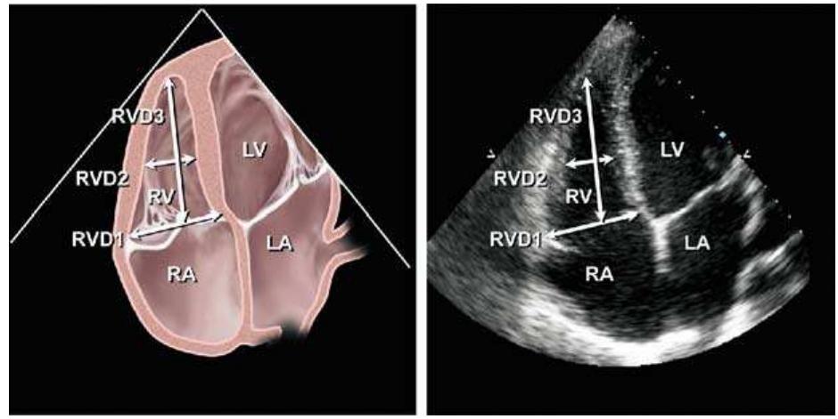 (PDF) Recommendations for Chamber Quantification: A Report from the ...