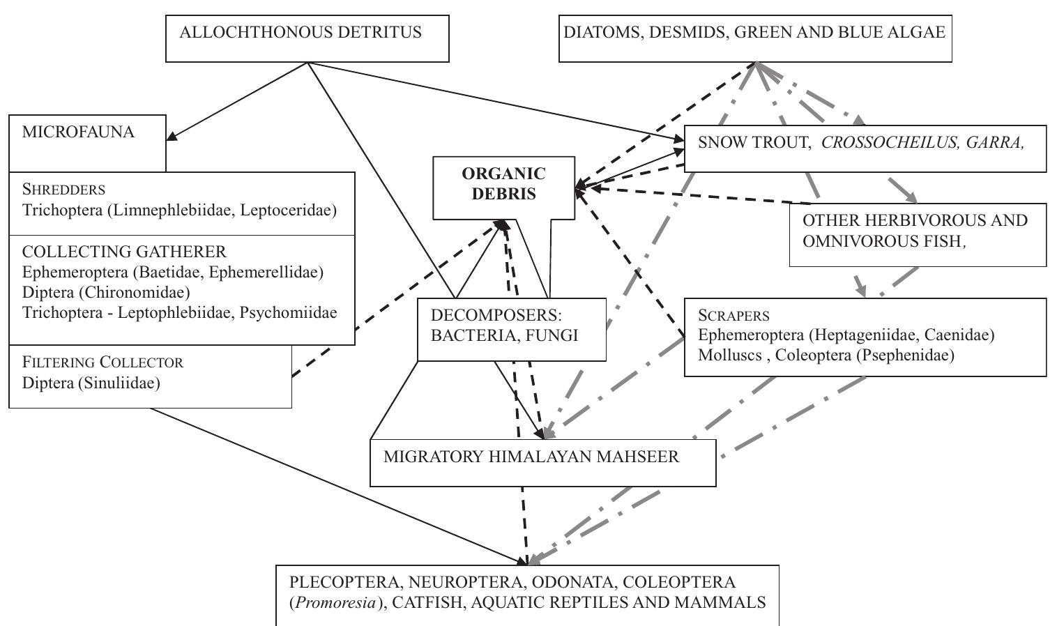 Food web in the lower section of the ganga r. the black