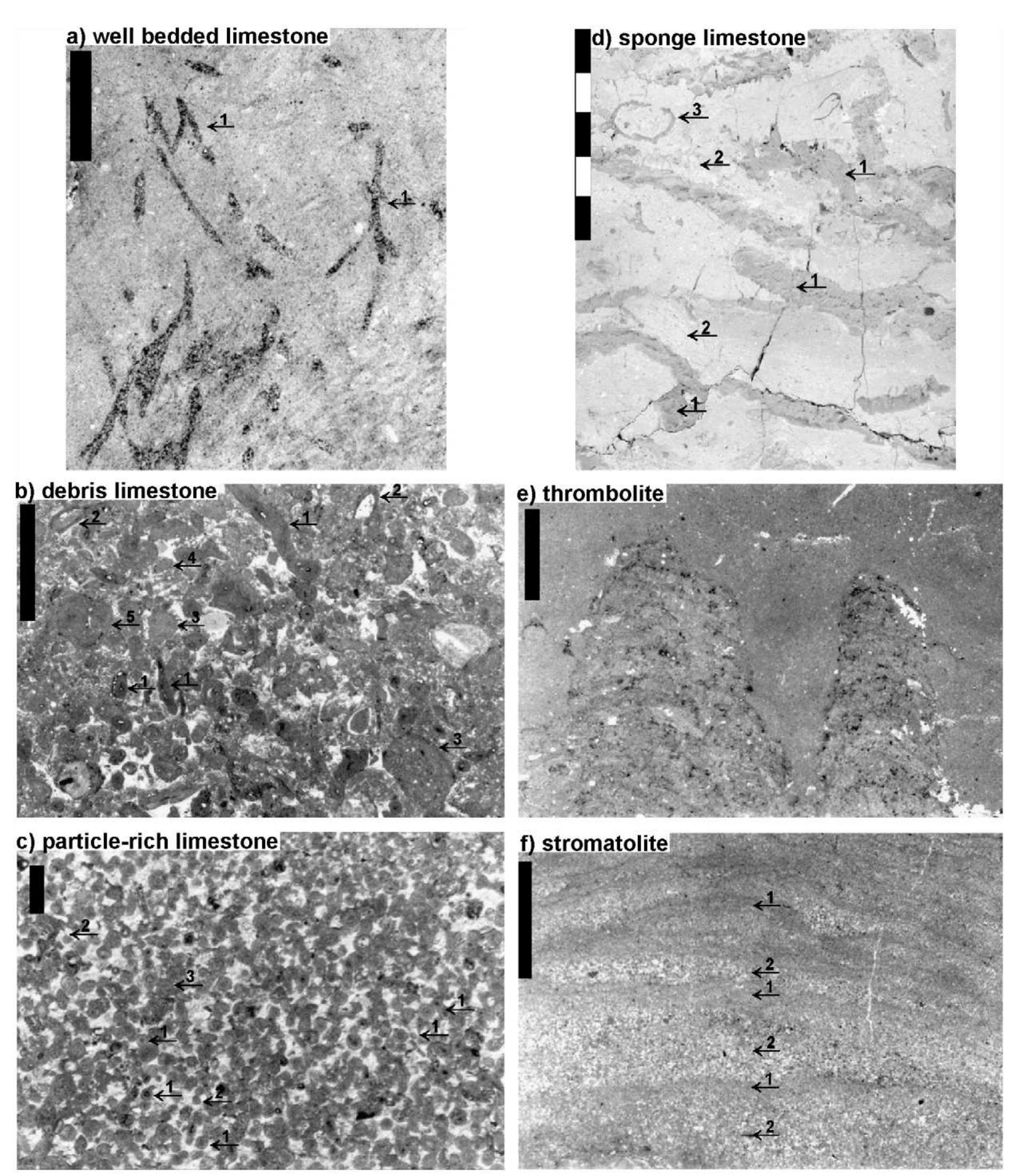 Was made. facies proportion diagrams (kerans and tinker,