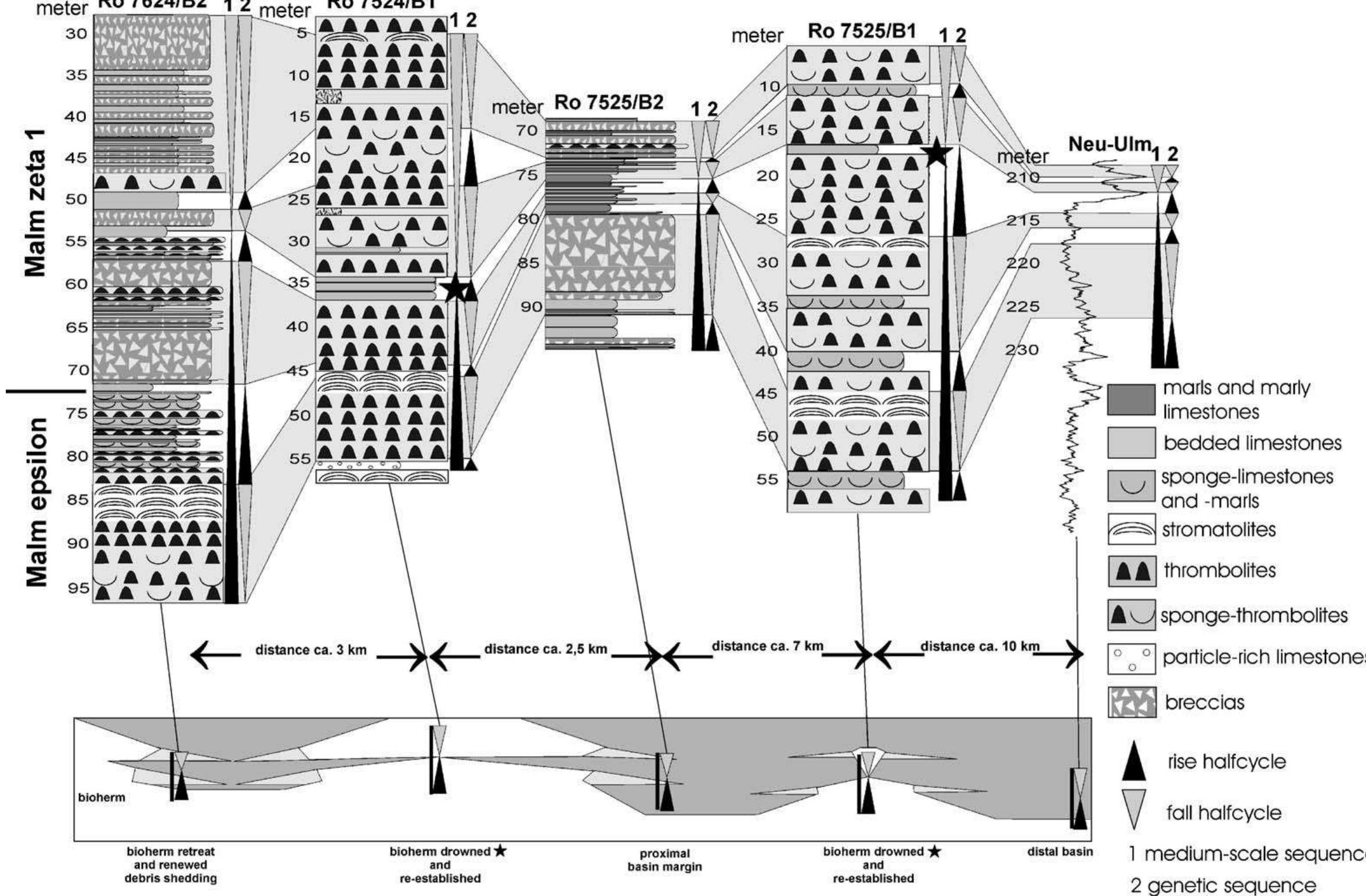 Figure 19 - Stratigraphic architecture and gamma ray logs of