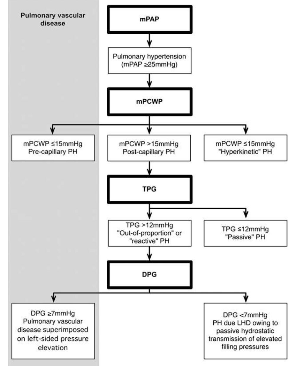Hemodynamic algorithm. hemodynamic algorithm for the