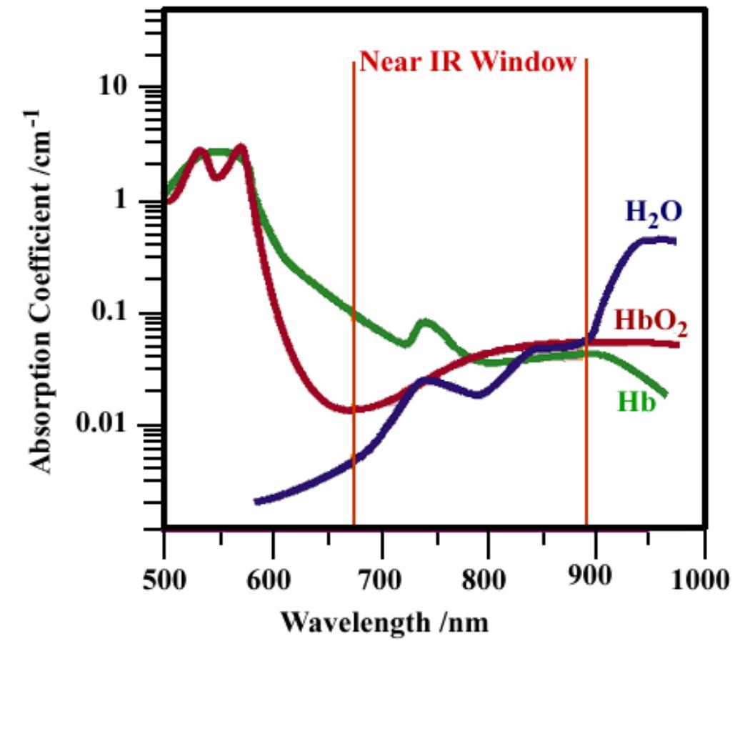 Absorption versus wavelength for hemoglobin and water