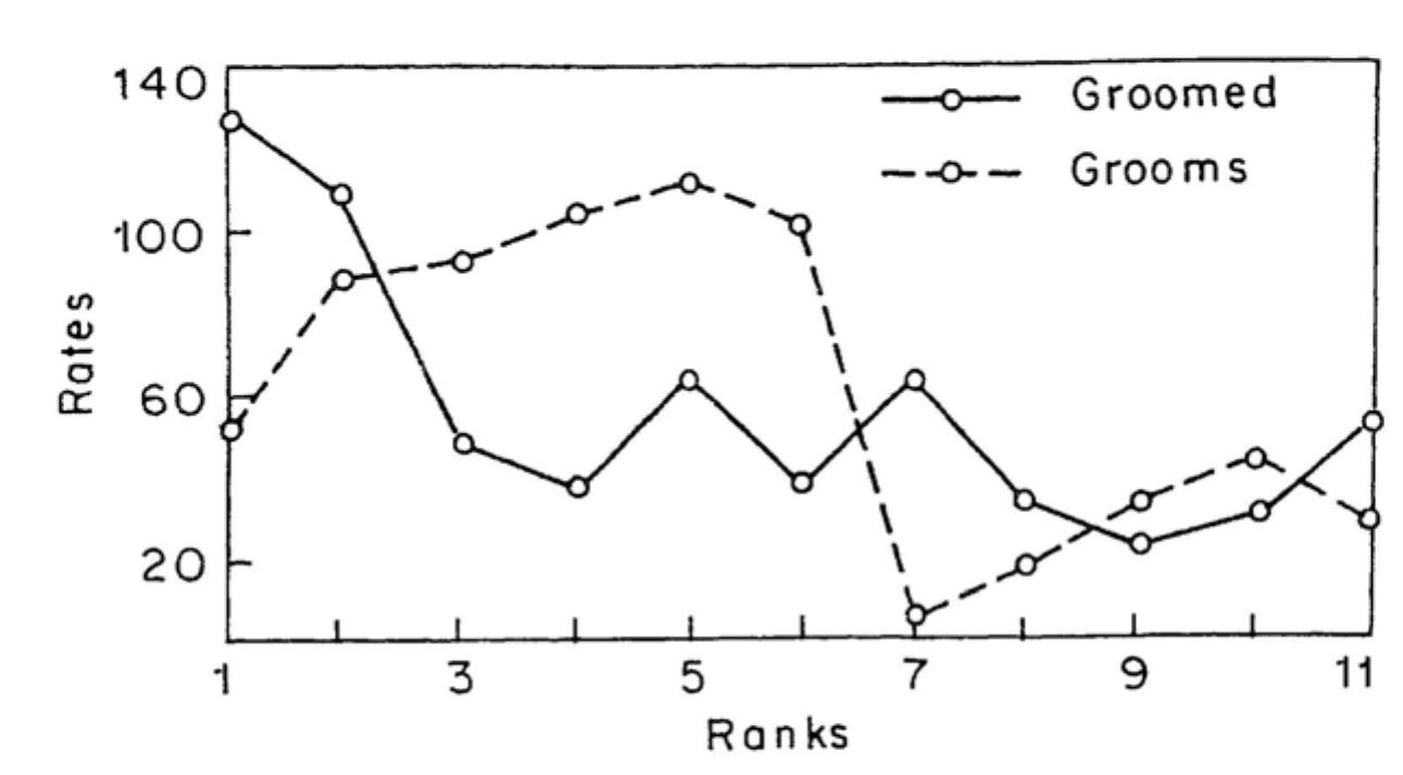 Figure 2 - from Hierarchy, kinship and social interaction