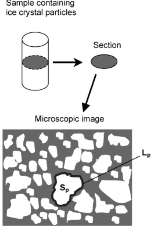 Schematic diagram for a typical image obtained by