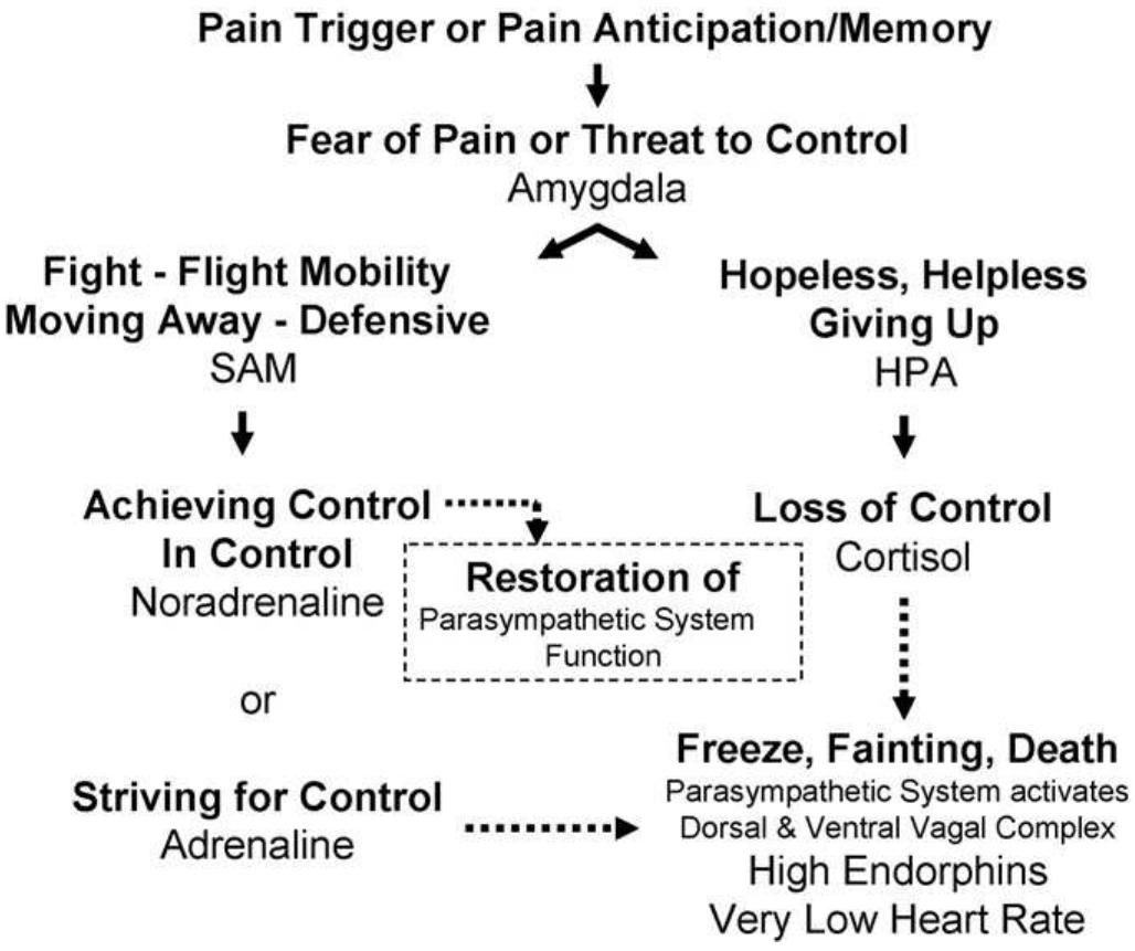 Chart of psychosocial functions of the stress response. the