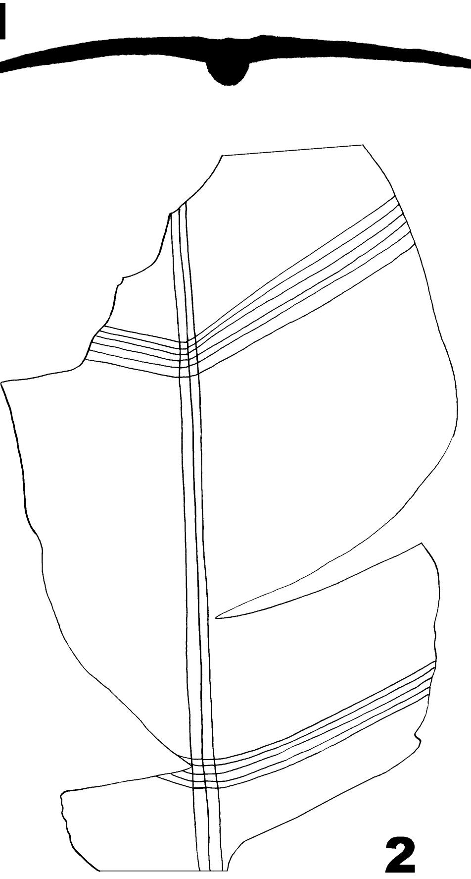 —j, cross section drawing of a nilssoniocladus kimura and