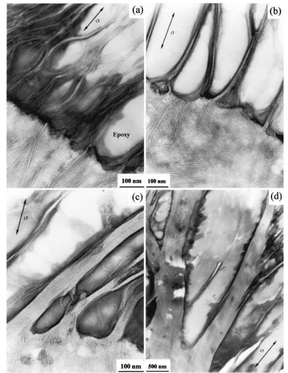 Tem of a section through the fracture surface shown in fig.