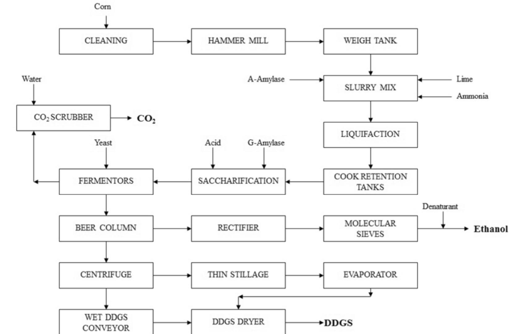 (PDF) Zein Extraction from Corn, Corn Products, and Coproducts and ...