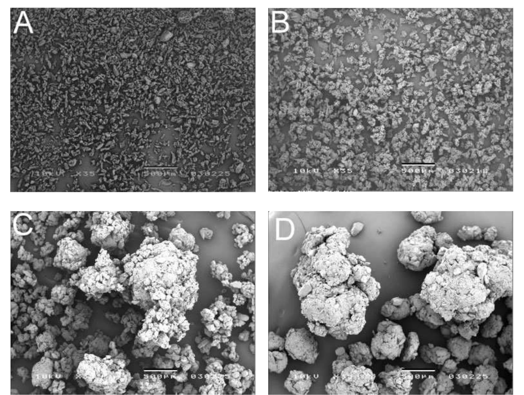 Scanning electron microscope images of «-lactose