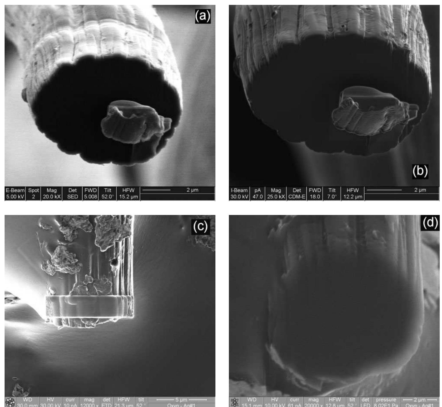 Two fib cross sections of carbon fibers (a) and (b) and an