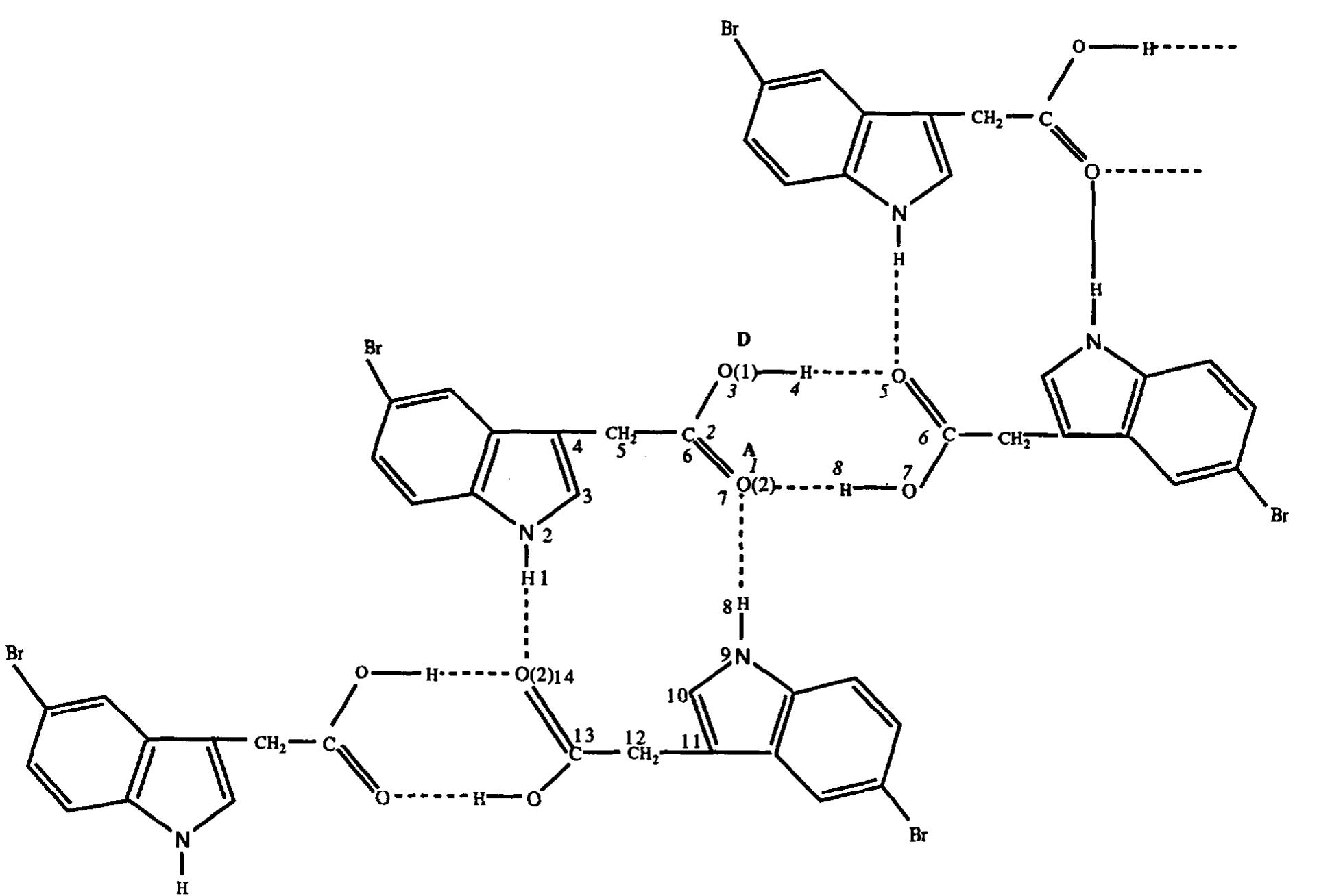 Schematic drawing of the hydrogen bond patterns for the 8-