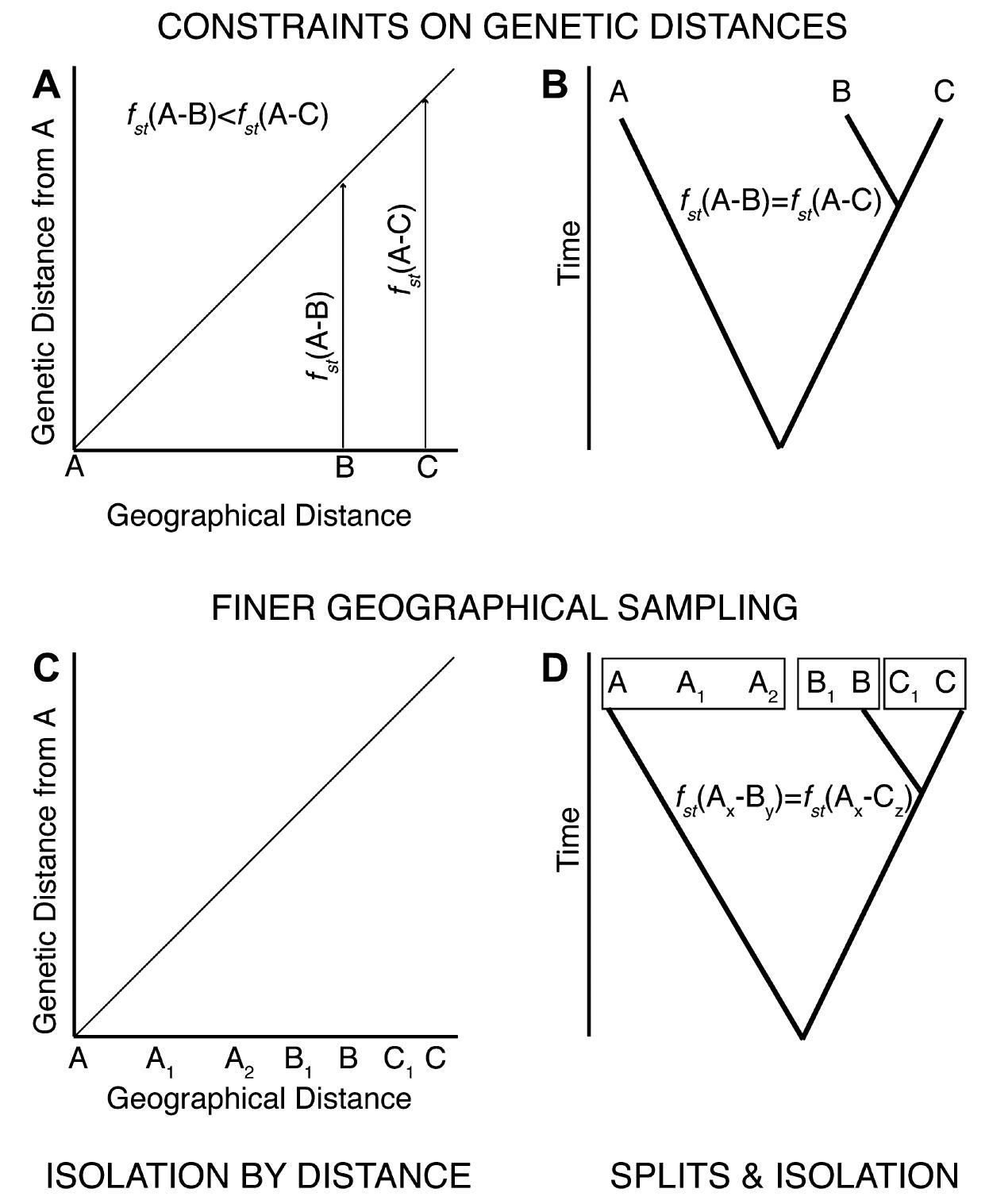 Distinguishing between population trees arising from splits