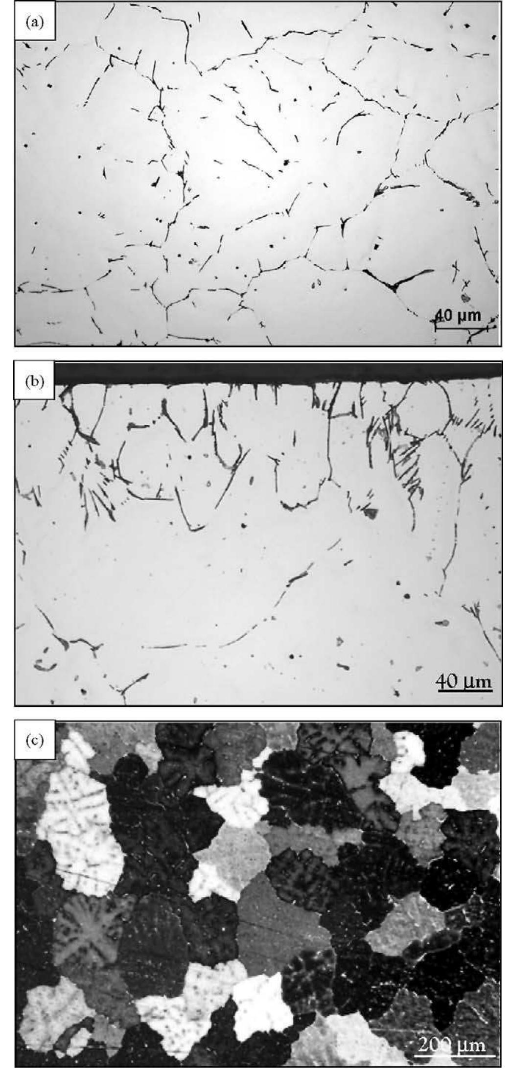 (a) microstructure of the as-cast billet, (b) the shell zone