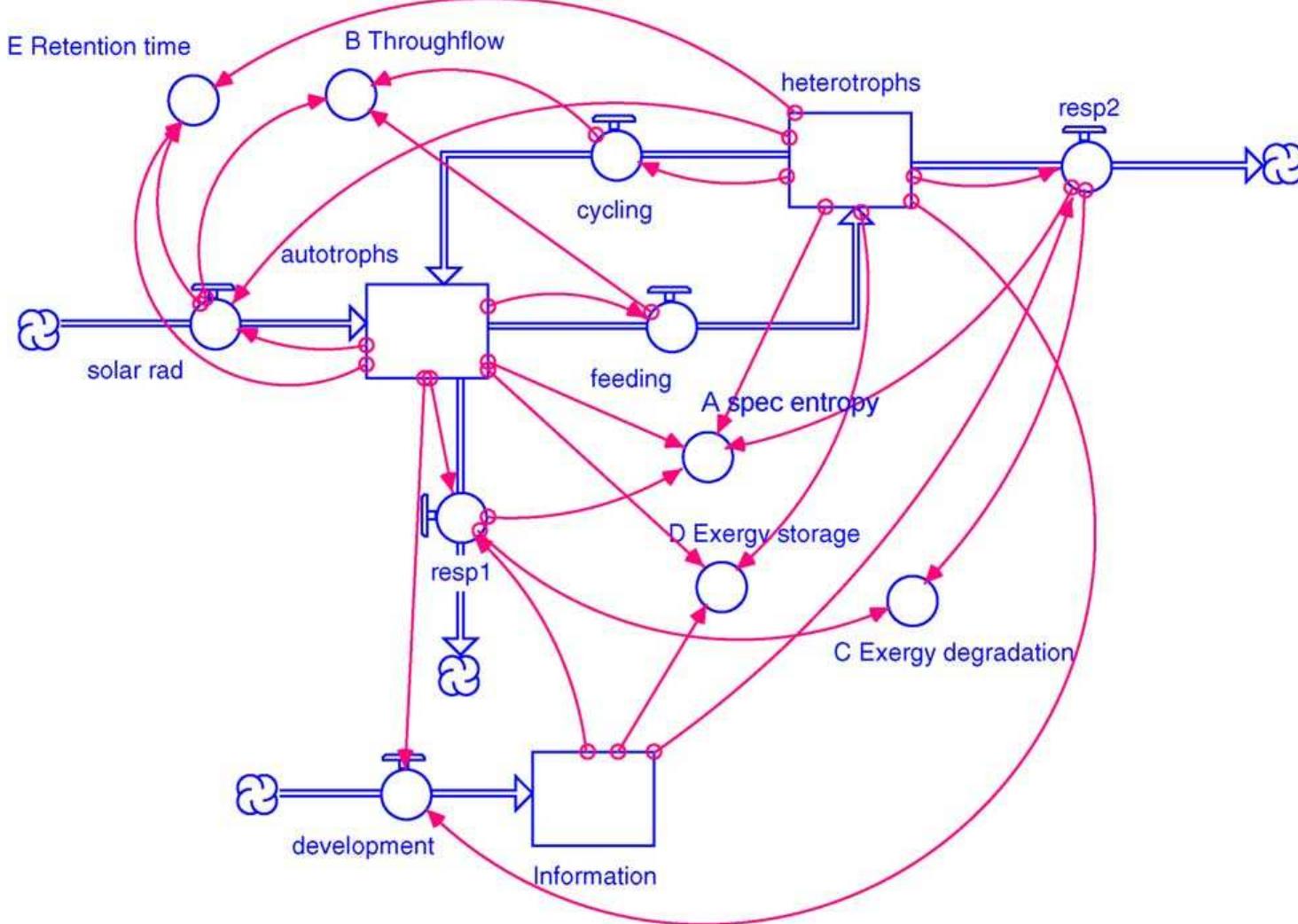 Conceptual diagram of ecosystem model using stella software.